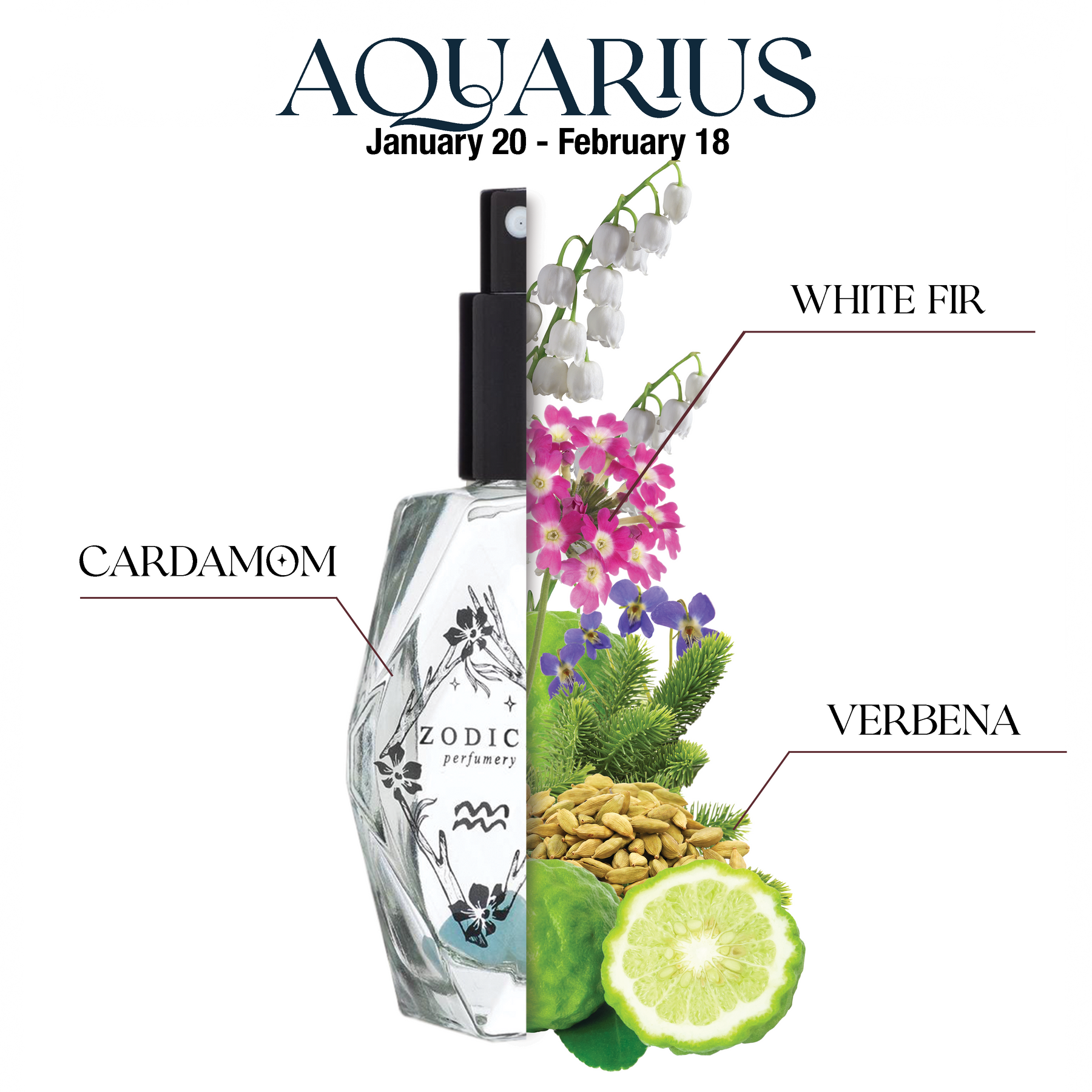 Aquarius Crystal Infused Zodiac Perfume – Zodica Perfumery