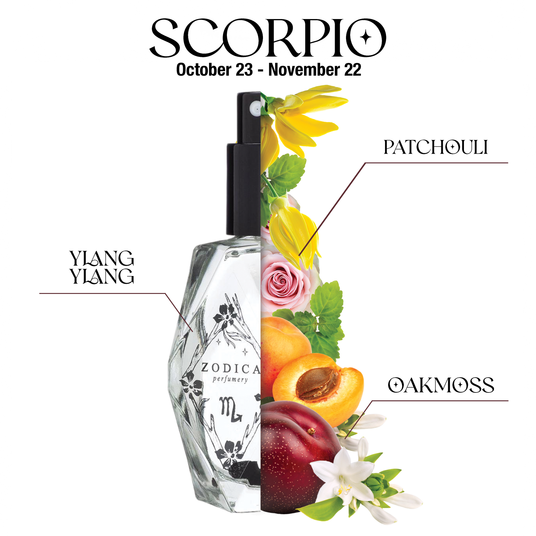 Scorpio Crystal Infused Zodiac Perfume – Zodica Perfumery